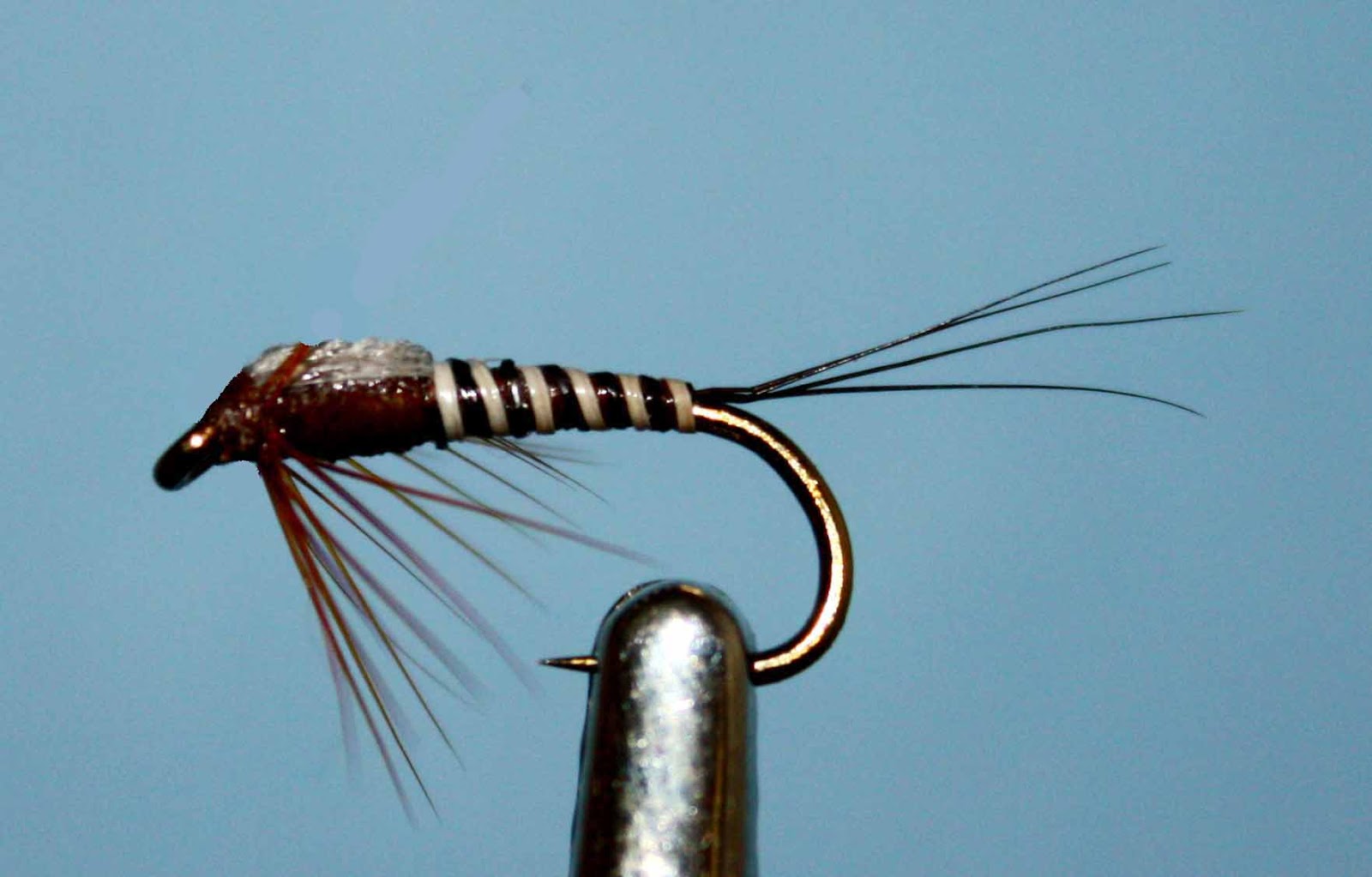 Finney's Flies: IRELAND,S NEW FLY TYING SCHOOL