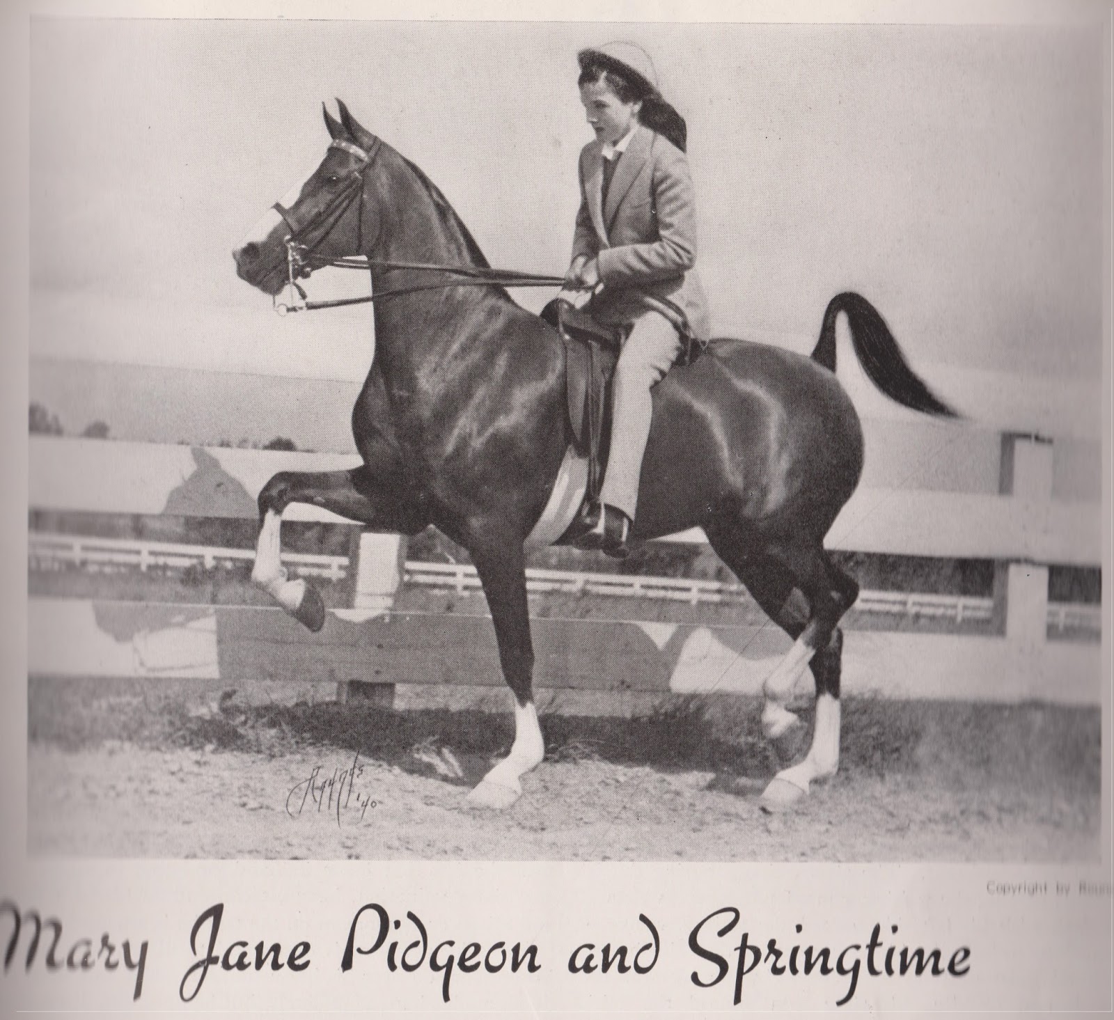 The American Saddlebred: 8/29/15 American Horseman from 1940, July thru ...