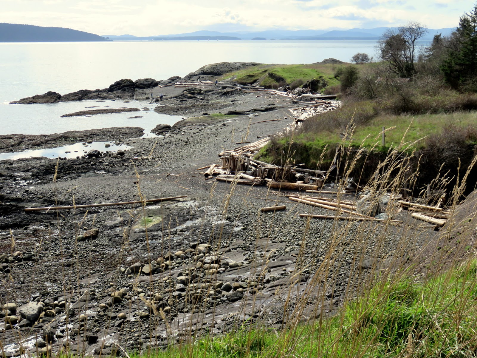Gravel Beach: Brooks Point