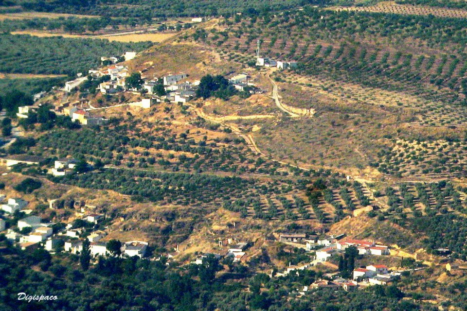 FOTOGRAFÍAS FONTANAR | El Fontanar - Blog de noticias