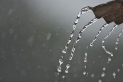 under the microscope: Rain drops on the roof. NaPoWriMo # 8