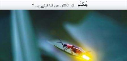 Jugnu | Click for English