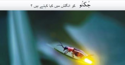 Jugnu | Click for English