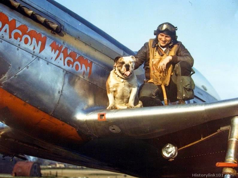 Color Photos of Animals in World War II ~ Vintage Everyday