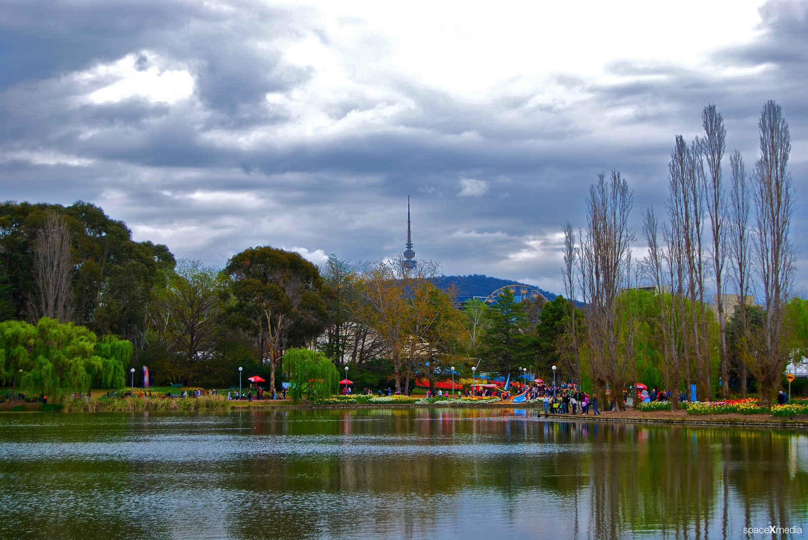 spaceXmedia: Flower Images at Floriade in Canberra