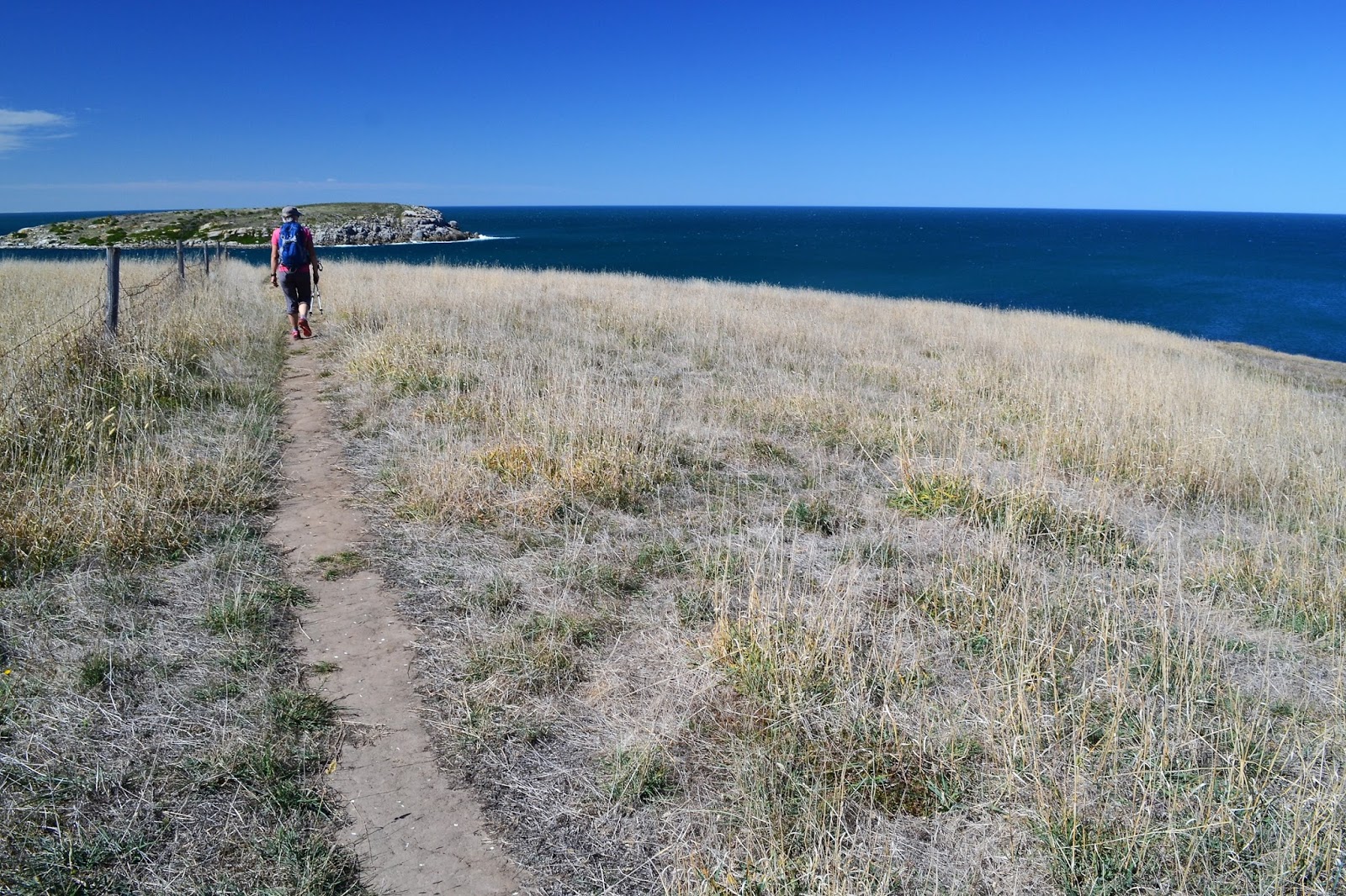 Goin' Feral One Day At A Time: Waitpinga Cliffs, Heysen Trail, Newland ...