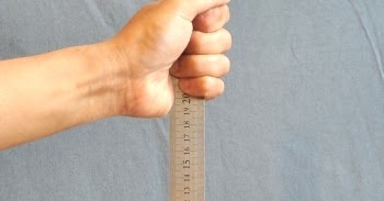 Reaction Time: The Ruler Drop Test - Science project
