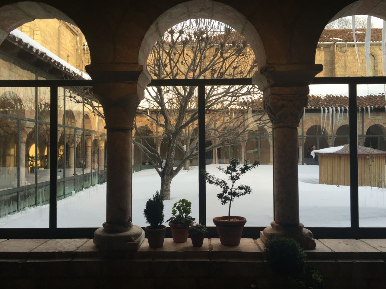 A Winter Walk in Fort Tryon Park and The Cloisters