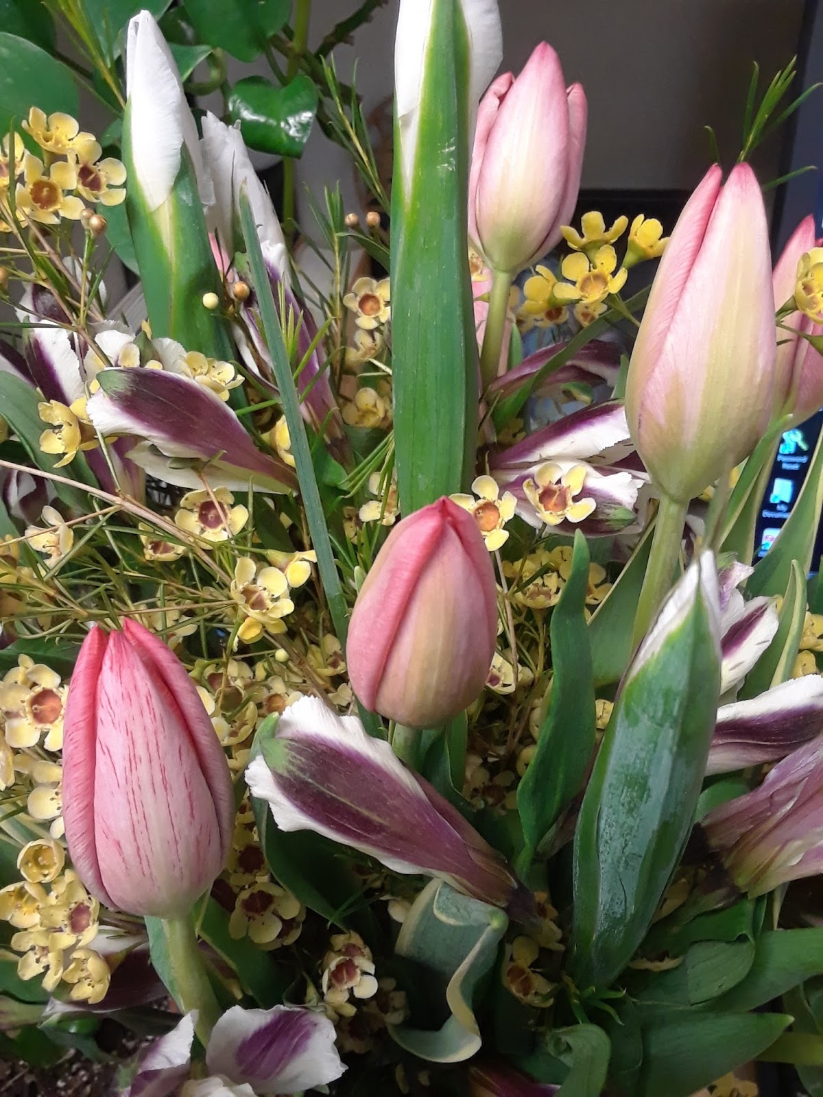 The Wild Reed: Welcoming the Return of Spring