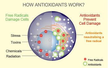 ANTIOXIDANTS: In Pharmaceutical Formulation