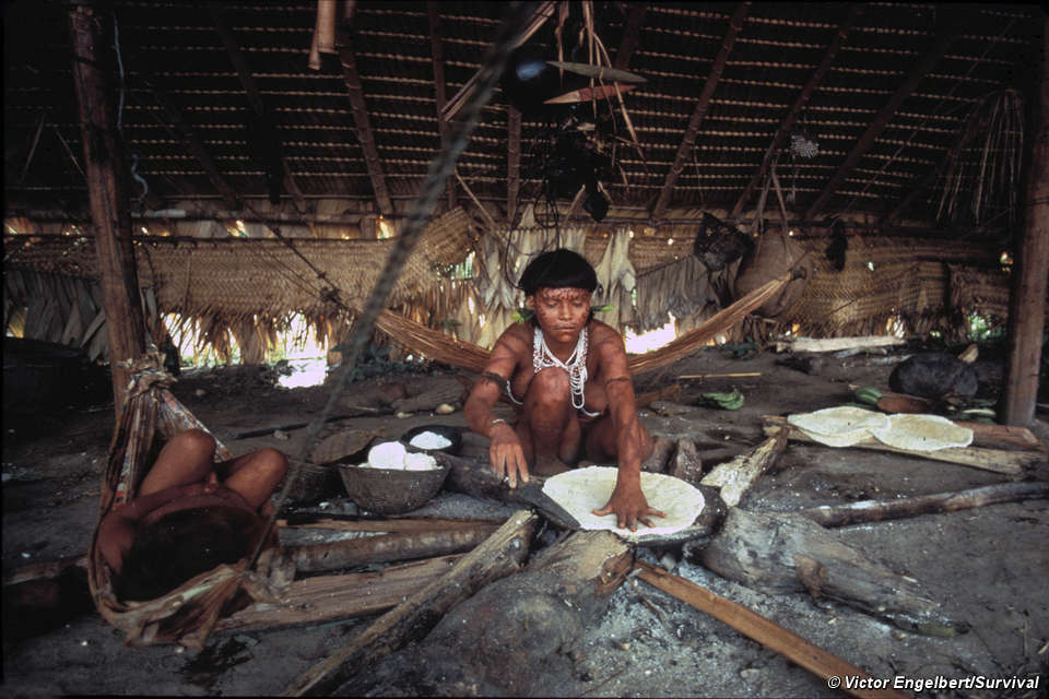 The Artist View: Yanomamo (Amazon)