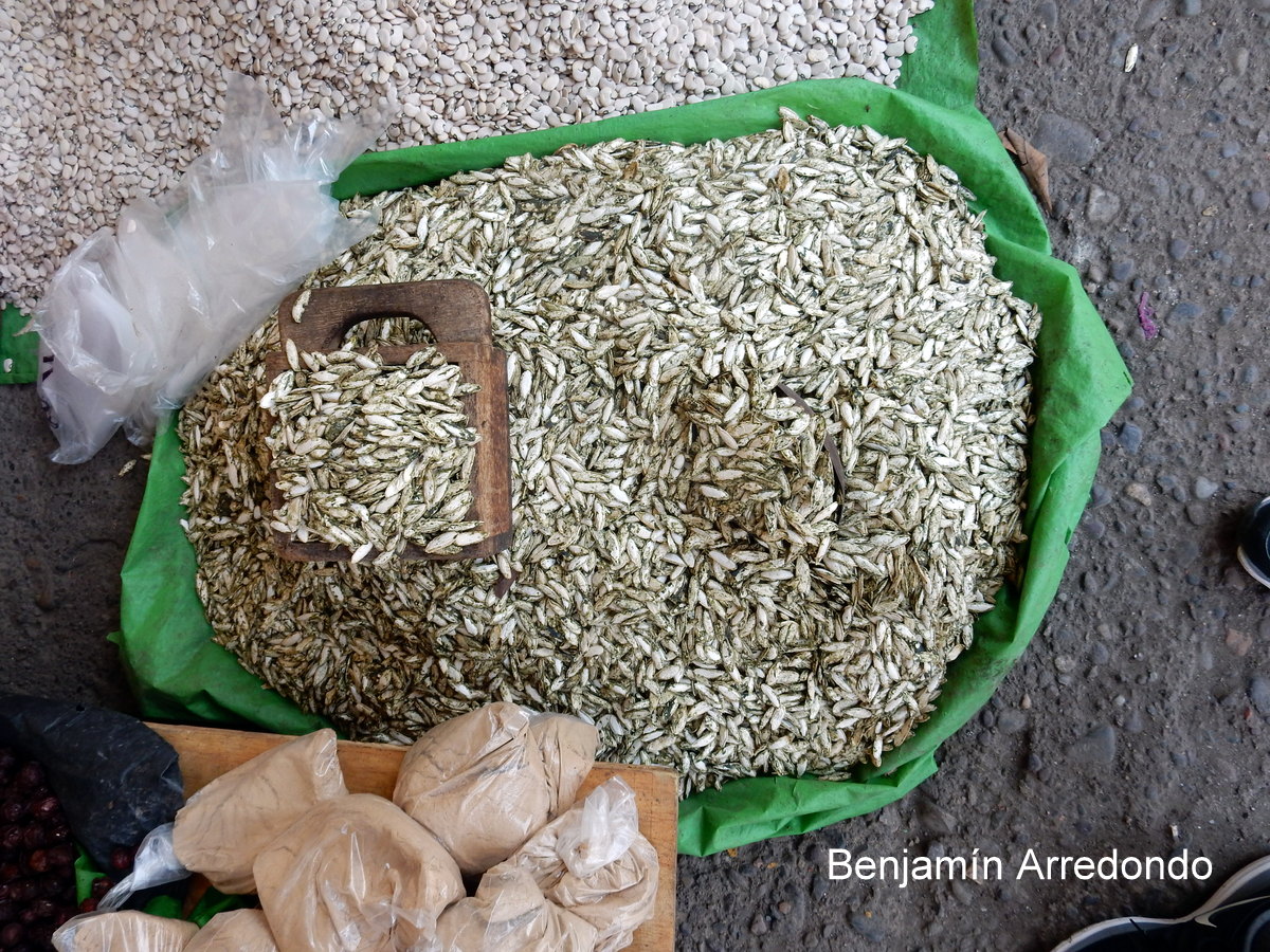 El Bable: Los cuarterones, medida en desuso oficial, pero en uso en ...