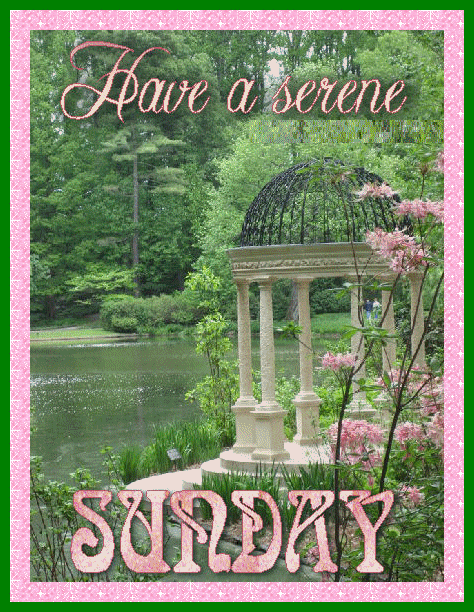 Reflections from Bon Bon Pond: Serene Sunday