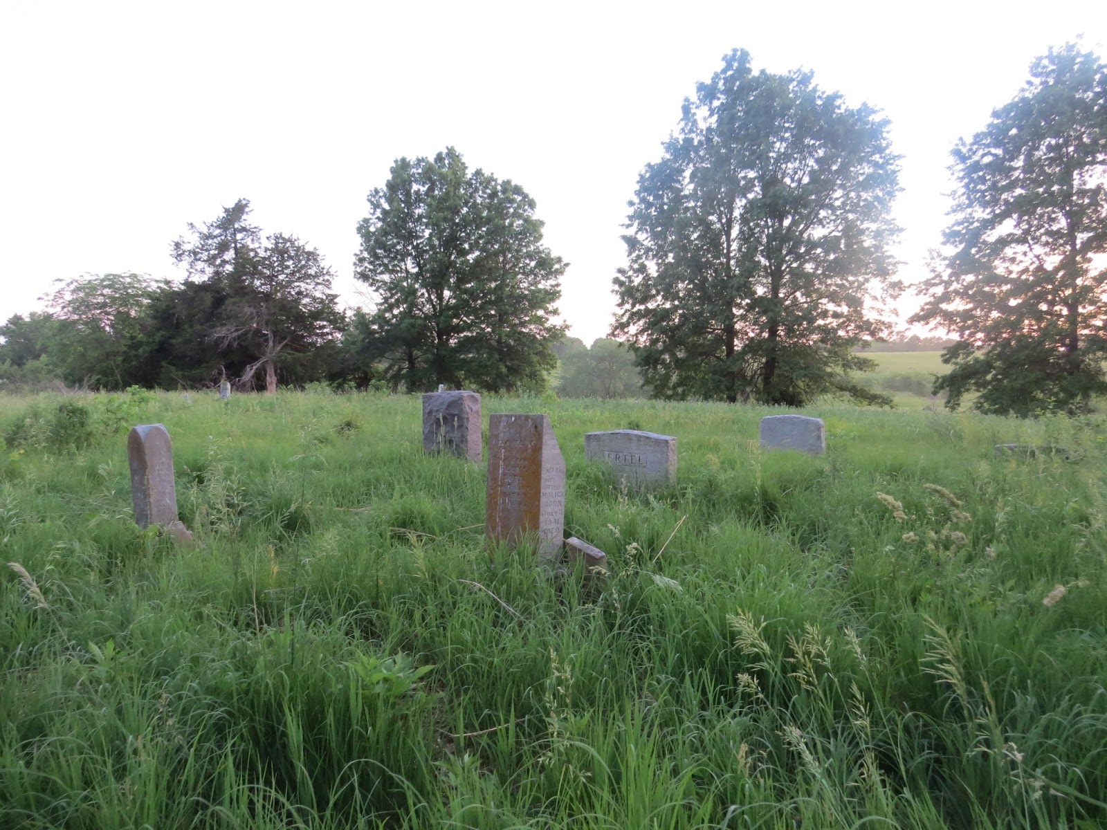 Diaries From the Dirt Road