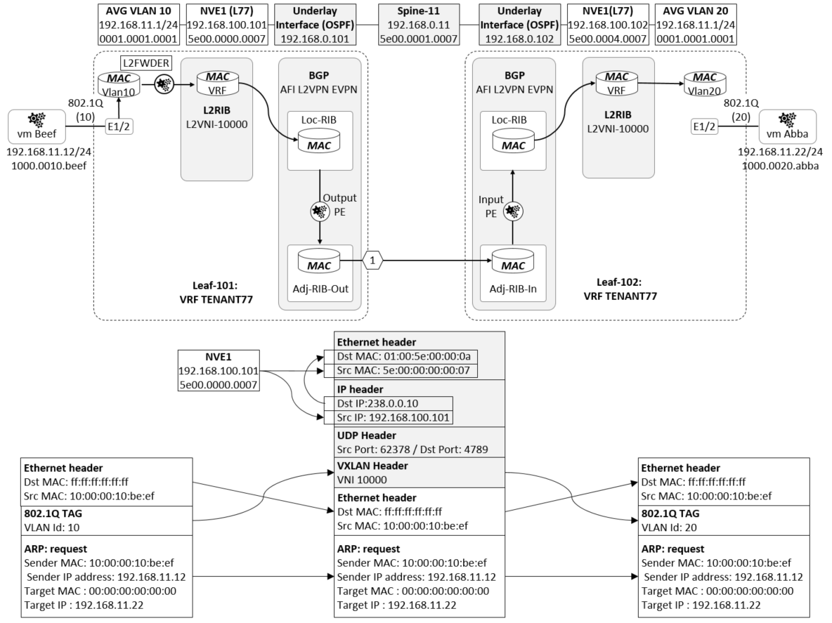 The Network Times: VXLAN Part XV: Analysis of the BGP EVPN Control Plane Operation