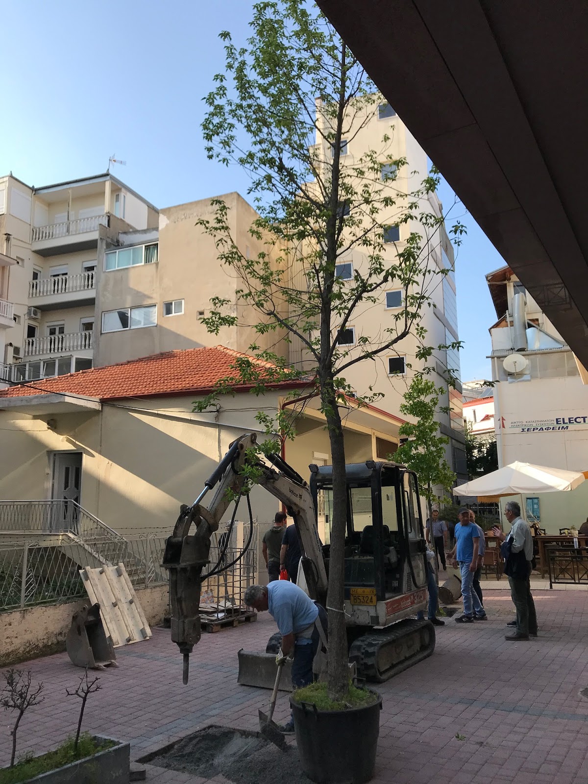 ΚΟΛΙΝΔΡΙΝΑ ΜΑΣΛΑΤΙΑ: Δήμος Κατερίνης: Με δενδροφυτεύσεις ολοκληρώθηκαν ...