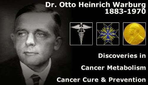 DR. OTTO: EM 1931, ESTE HOMEM JÁ SABIA A CAUSA DO CÂNCER E COMO EVITÁ-LO.
