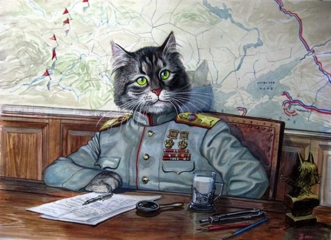 I Have Seen The Whole Of The Internet: Soviet Cats During The Second World War