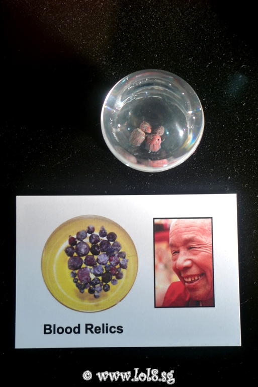 Life Of Lopsided 8: A tribute to the Hidden Yogi - Khensur Rinpoche ...