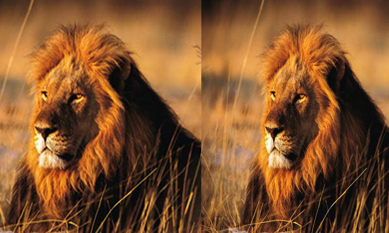 Imaginea pixelata cu cea nepixelata.