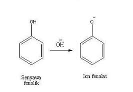 Senyawa Fenolik