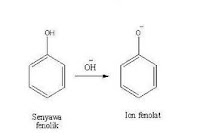 Senyawa Fenolik
