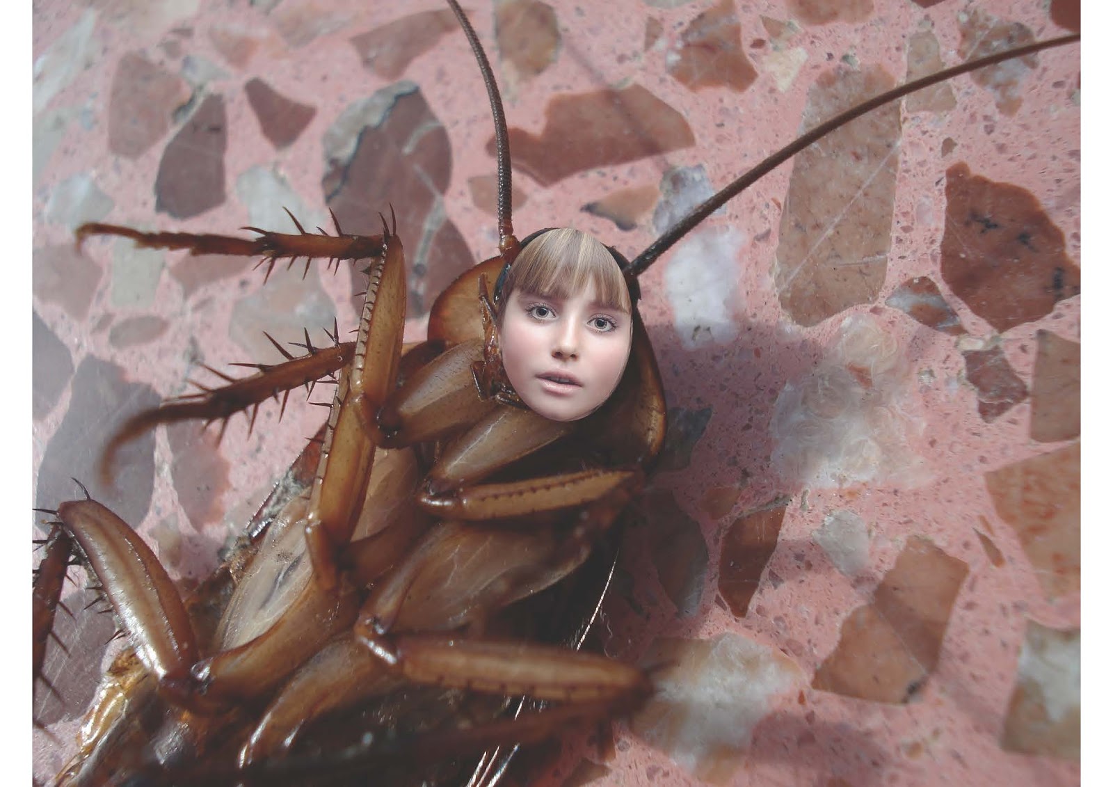 Author's Diction~Vipin Behari Goyal: Metamorphosis Retold