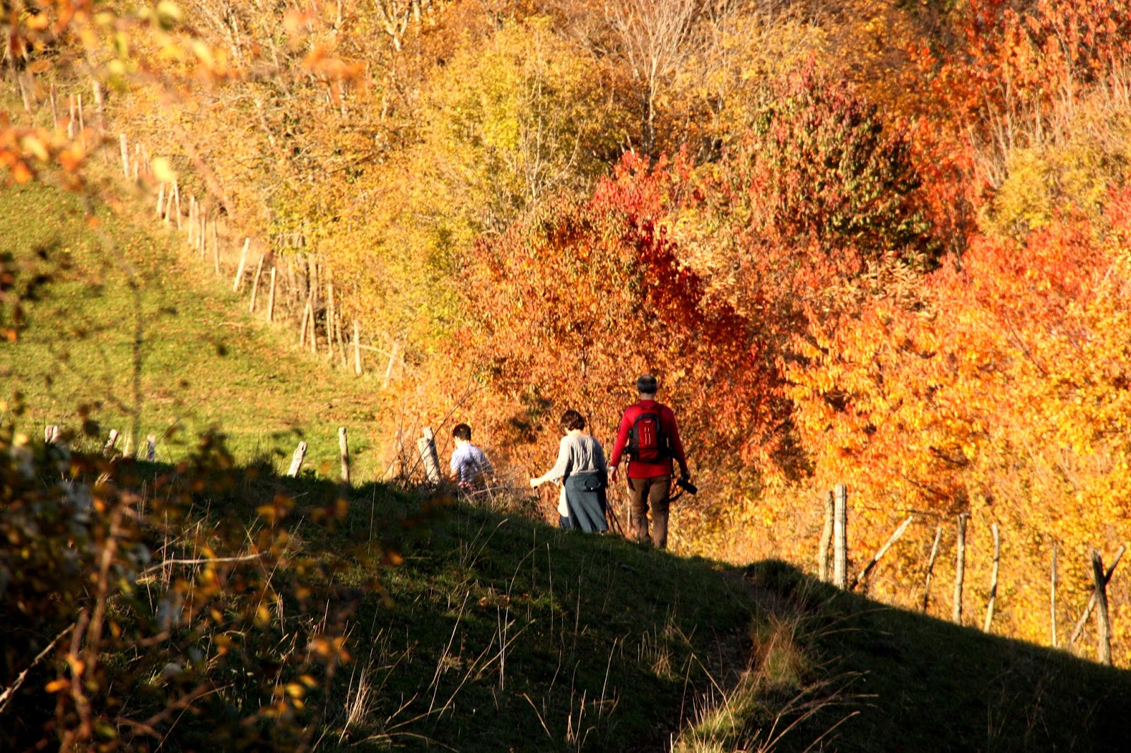 2 Dedos de Conversa: balade, ballade