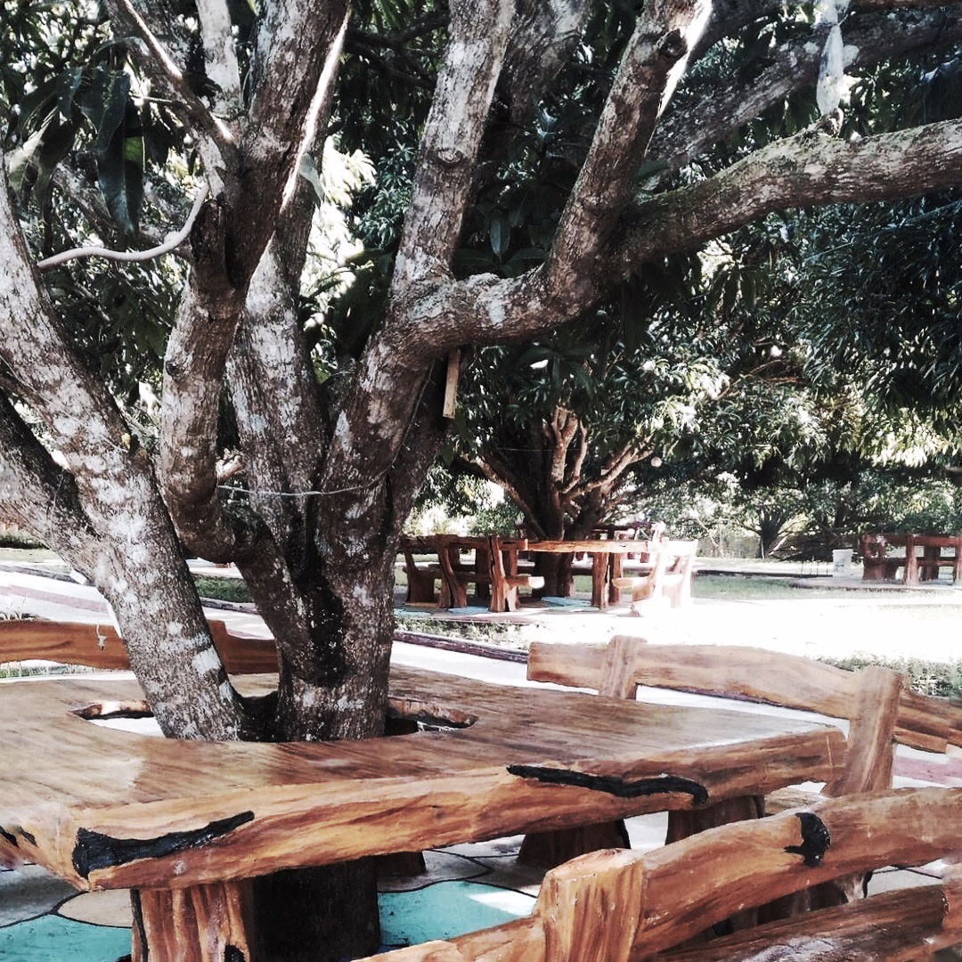 Balai Ising Garden Resort - Diane Loresca - Travels. Shops. School