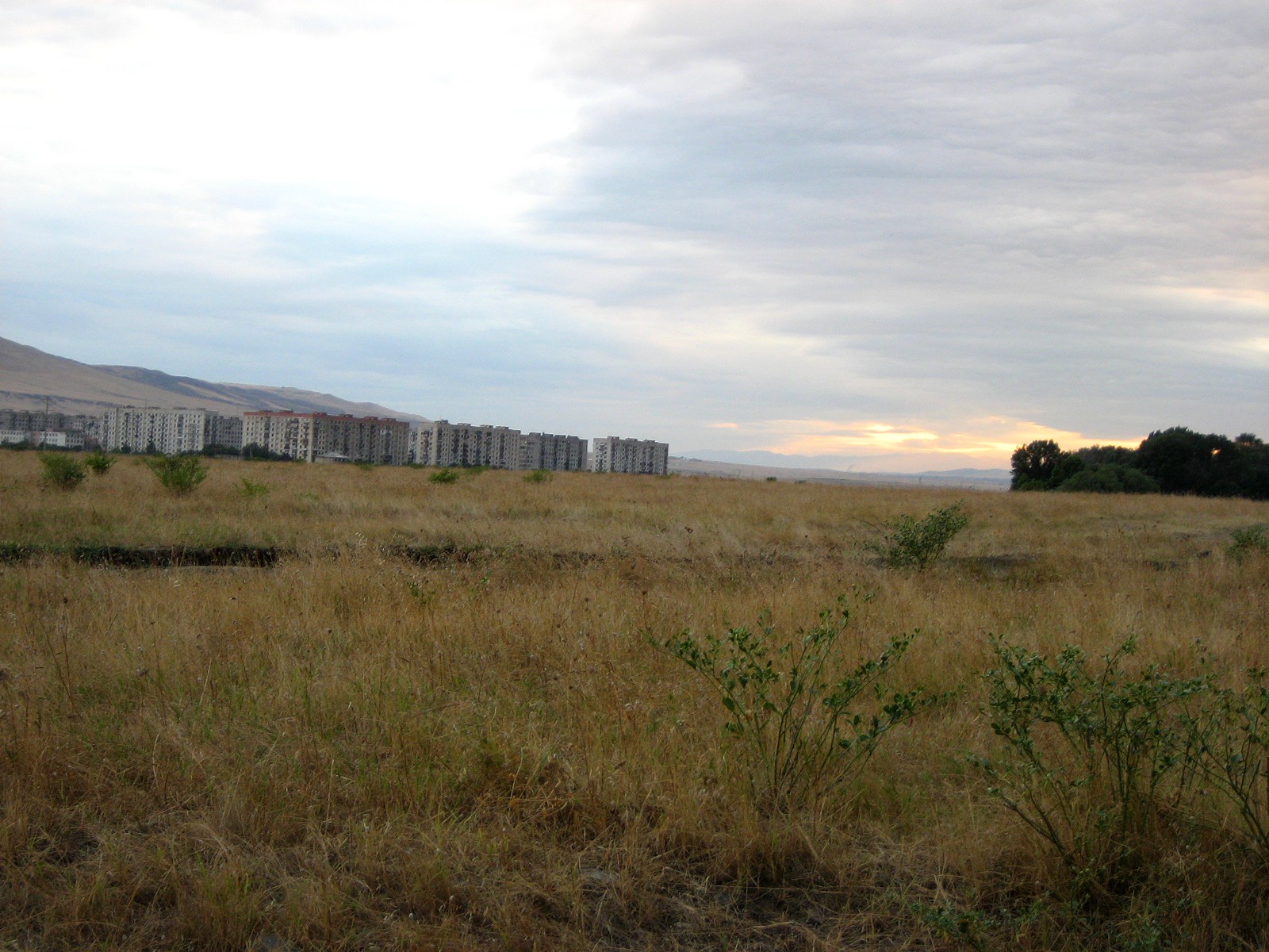 Living Rootless: Rustavi: Levan's Farm