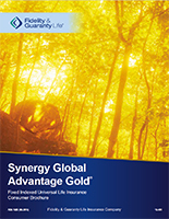 F&G Gold IUL: Synergy Global Advantage