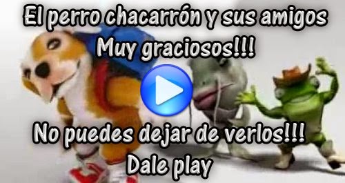 La vida Animal: El perro chacarrón y sus amigos