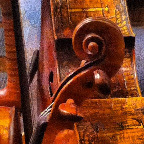 The Violin Shop: Why Scrolls?