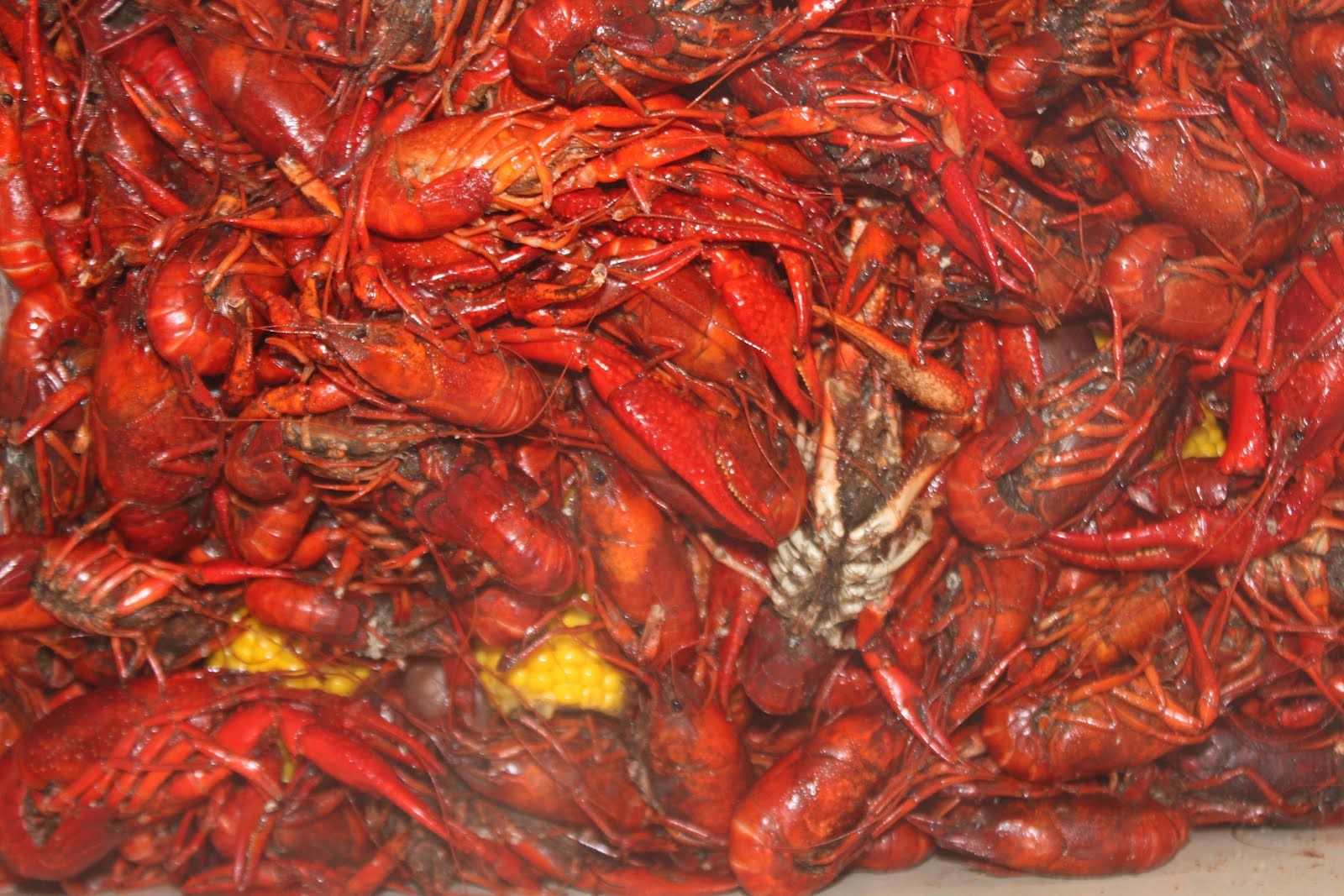 Mojoy: Eating crawdads