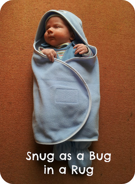 The Adventure of Parenthood: As Snug as a Bug in a Rug - Review and ...