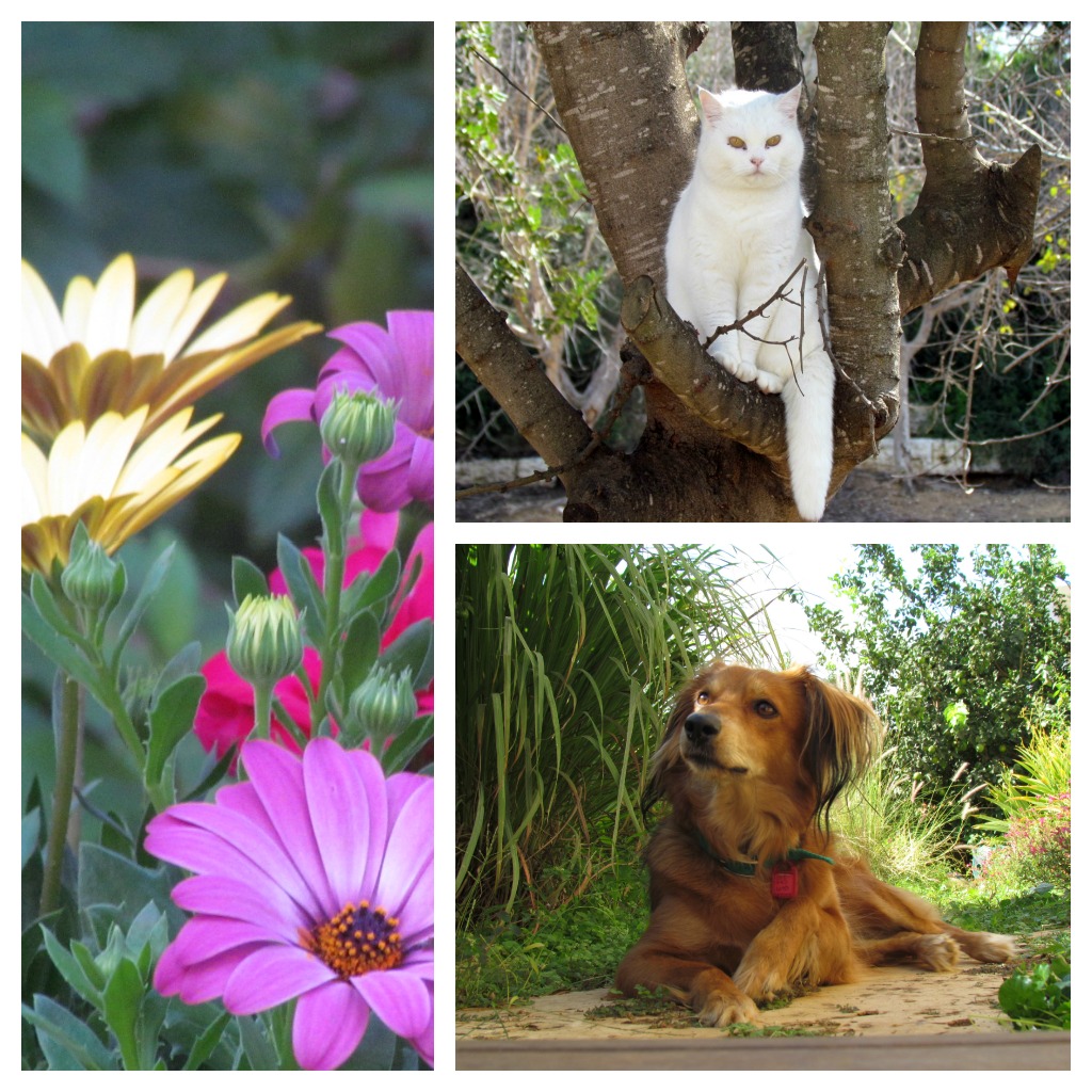 The Elite Sixteen: Etsy Studio Visits: Meet Orly of Orly Design