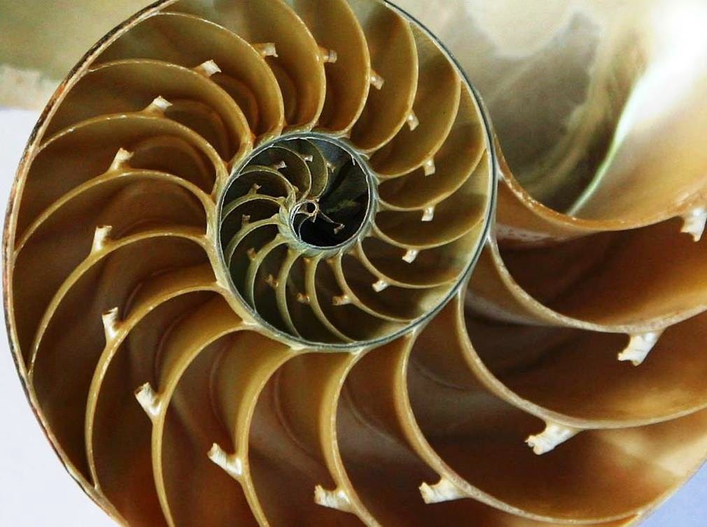 MEDIAN Don Steward mathematics teaching: spirals