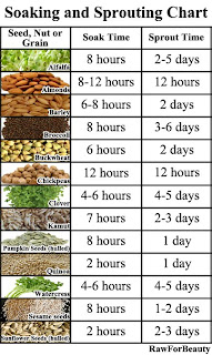 Rogue Wild Farm: Sprouting fodder for our livestock Part 1 - testing ...