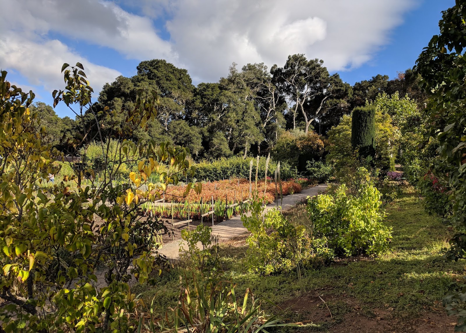 Eden By The Bay: Fall Details at Filoli