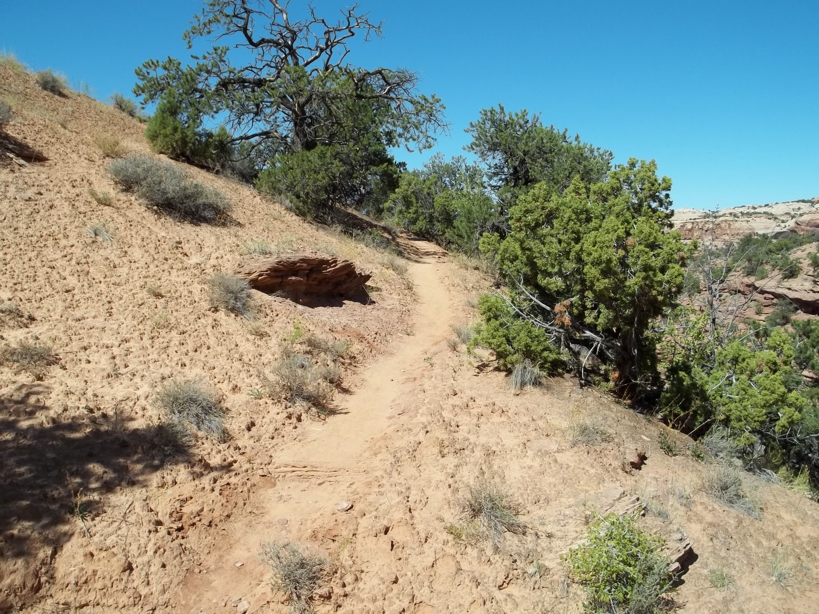 gjhikes.com: Neck Spring