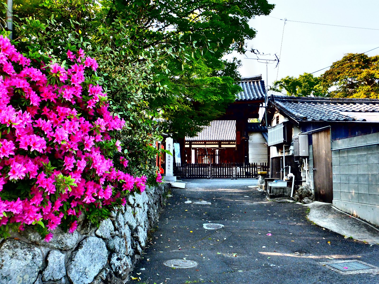 Kinki Cycle: Taikichi Irie Museum Of Photography