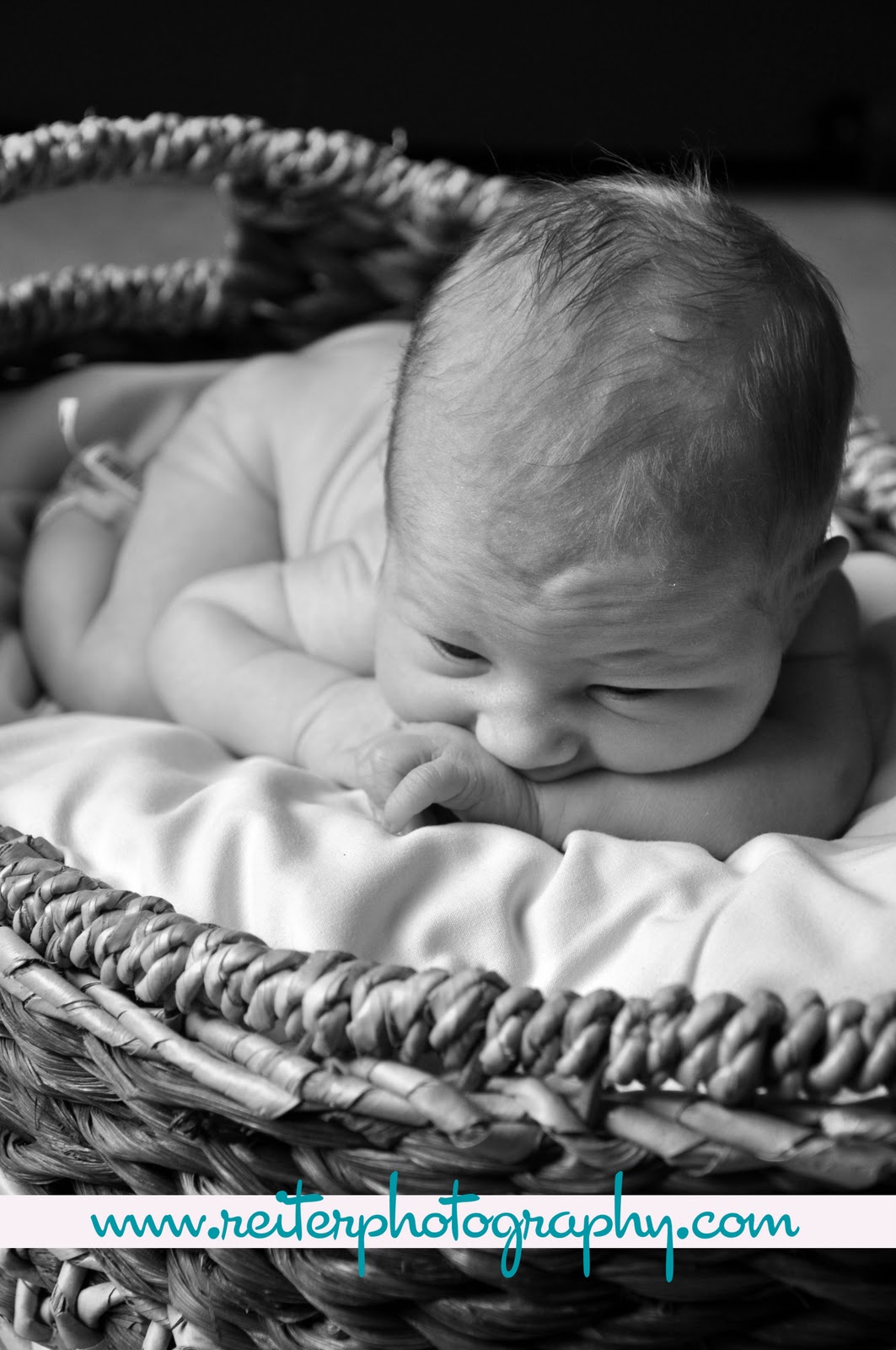 Reiter Photography: Newborn Session: Isabelle