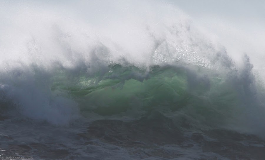 The Natural History Of Bodega Head Long Period Swell the-natural-history-of-bodega-head-long-period-swell