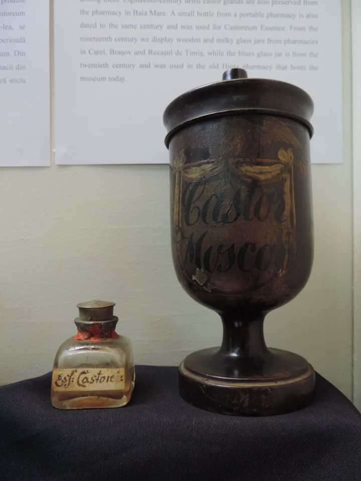 (un)intentional contemporary art in Transylvania: Castoreum