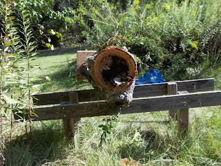 BizzyBuzzin' Honeybeezness: Open Air Feeding and Our Log Hive