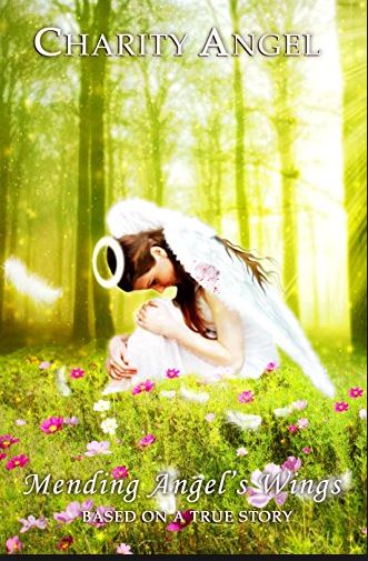 Mending Angel's Wings Book Series