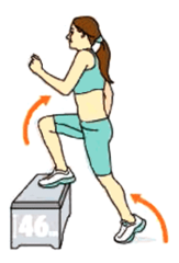 Penjaskes: Harvard Step