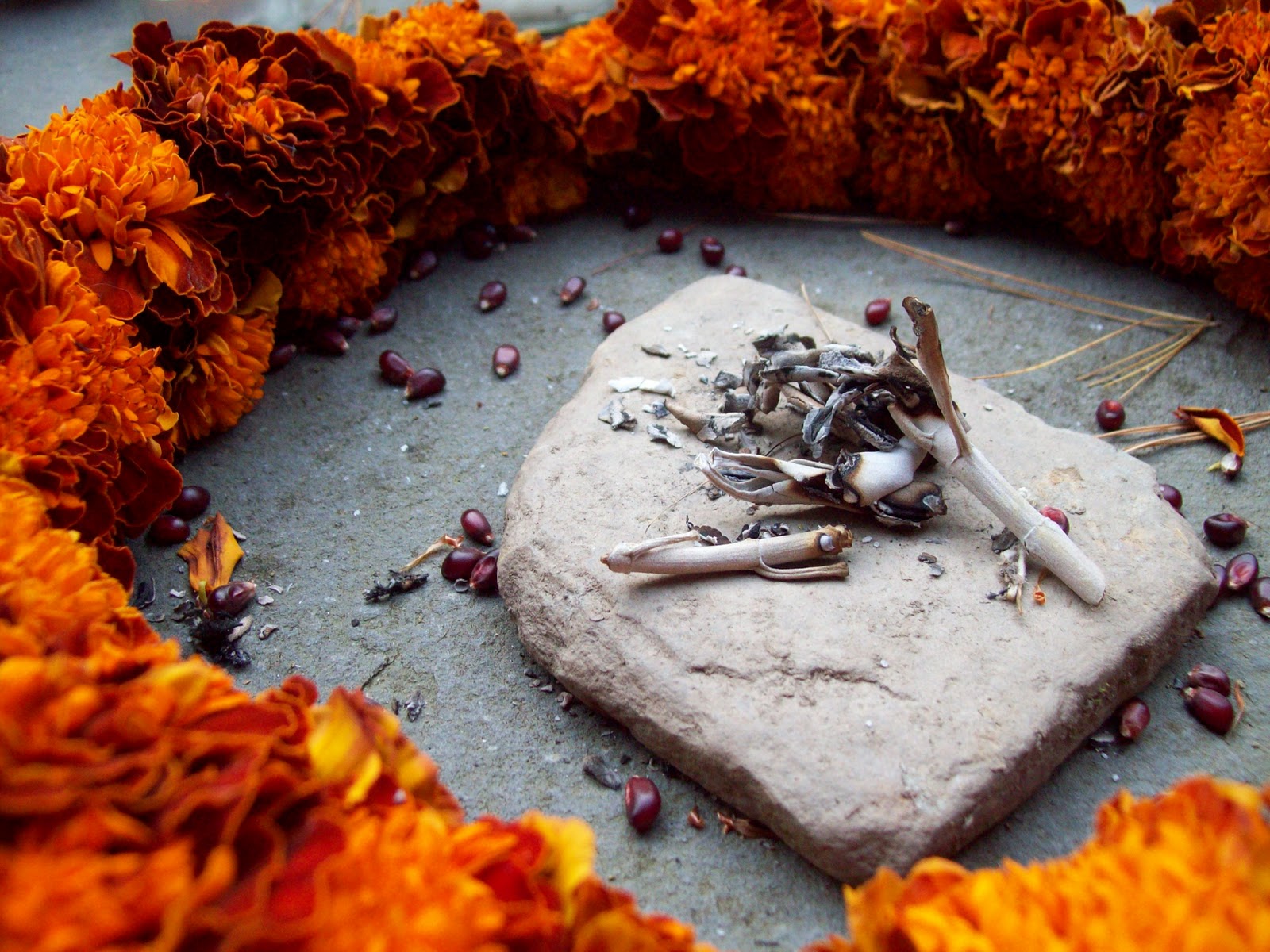 Walking With Ancestors: Altars to Alter Space in a Place
