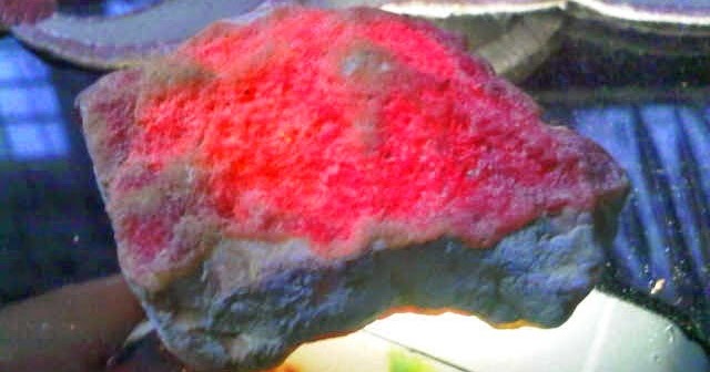 Pengetahuan-Ku: Cara Mengetahui dan Mengecek Batu Red Rafflesia Bengkulu