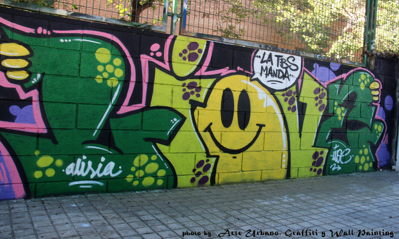 @photojo53: TBS 20 años , l'Horta Sud(49)